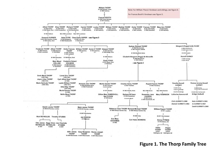 Figure 1. The Thorp Family Tree – Thorp Family History